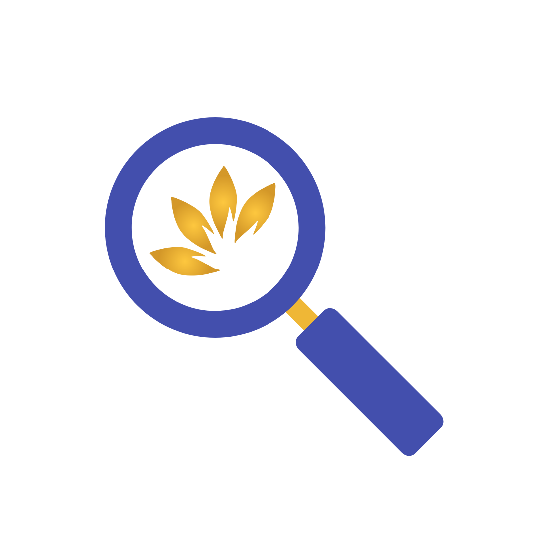 Values Exploration - Tresane