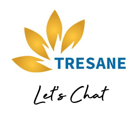 Tresane: Let's Chat About Leadership & Team Development